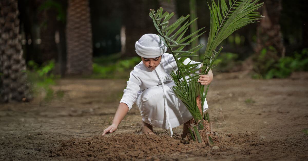 DesertBoard | Palm Strand Board, PSB®